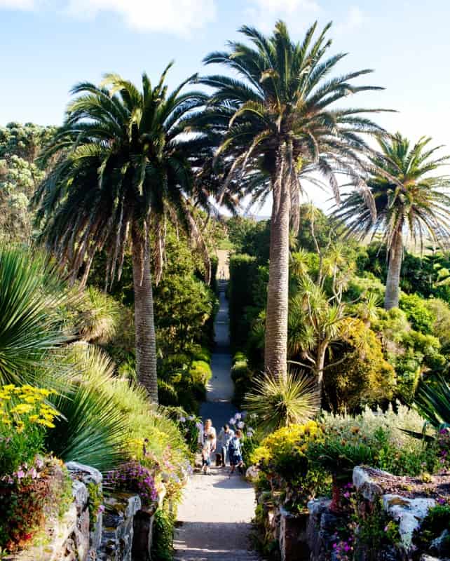 Tresco | The Islands :Isles of Scilly Travel