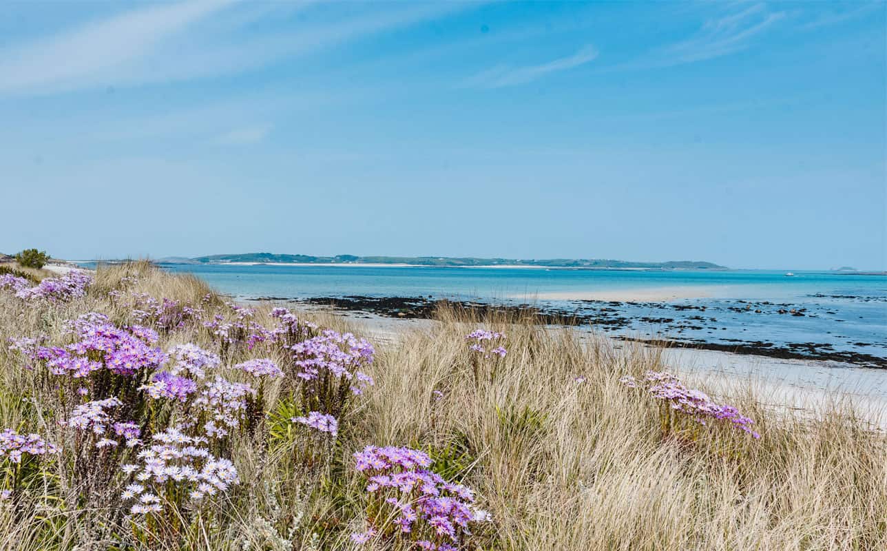 Tresco Island | Isles of Scilly Travel